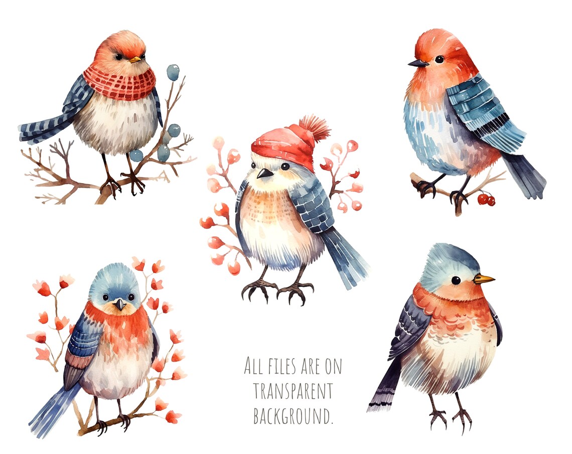 Winter Birds Clipart, Christmas Clipart, Winter Clipart, Bird Clipart ...