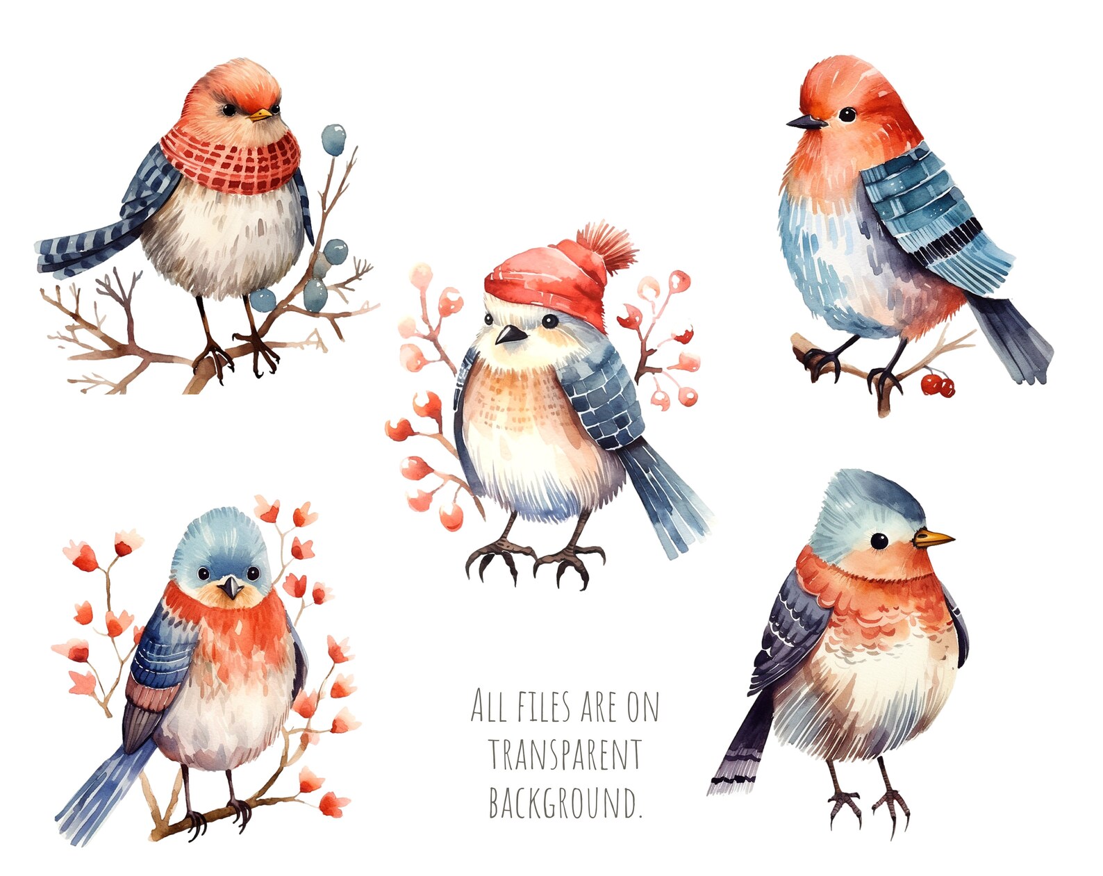 Winter Birds Clipart, Christmas Clipart, Winter Clipart, Bird Clipart ...