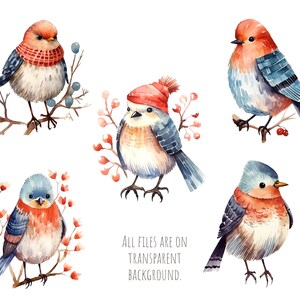 Winter Birds Clipart, Christmas Clipart, Winter Clipart, Bird Clipart ...