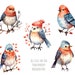 Winter Birds Clipart Christmas Clipart Winter Clipart Bird - Etsy