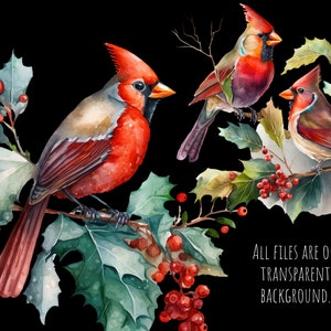 Cardinal Clipart, Christmas Clipart, Winter Clipart, Bird Clipart, Red ...