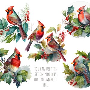 Cardinal Clipart, Christmas Clipart, Winter Clipart, Bird Clipart, Red ...