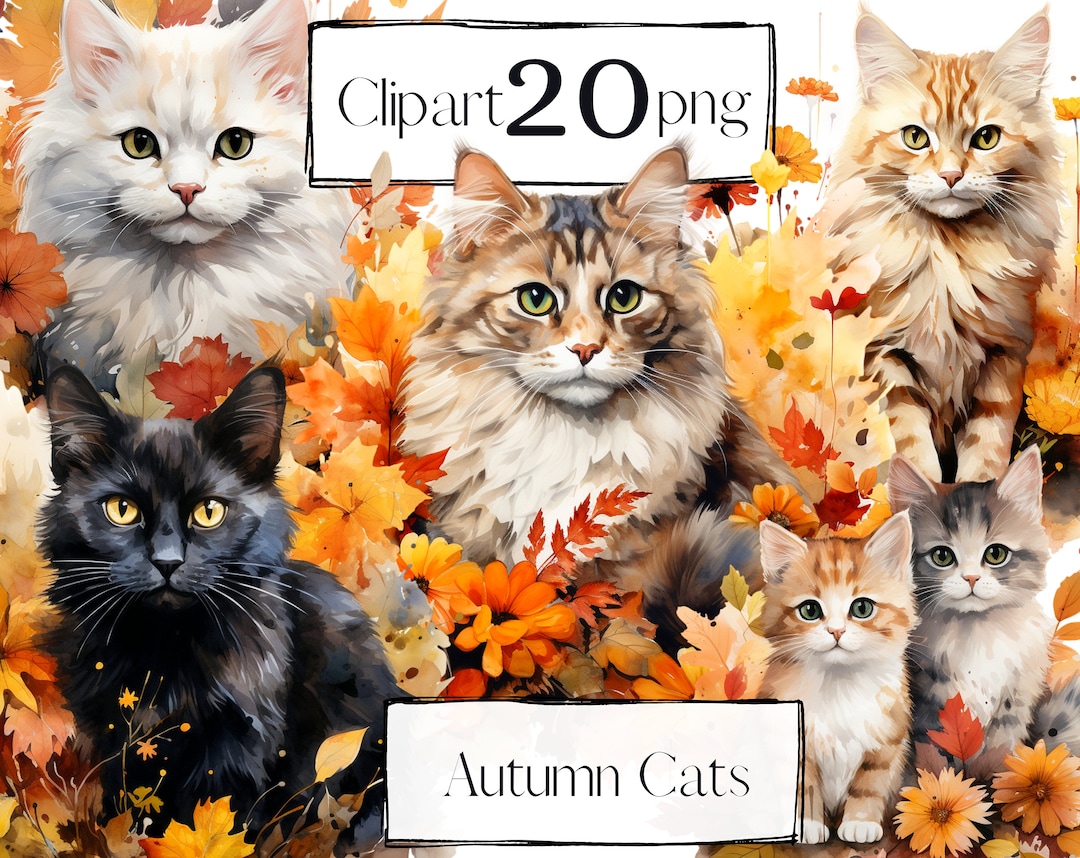 Cat Clipart, Autumn Clipart, Watercolor Clipart, Png Bundle. Digital ...