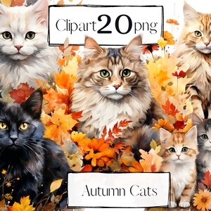 Cat Clipart, Autumn Clipart, Watercolor Clipart, Png Bundle. Digital ...