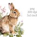Bunnies Clipart. Bunny Bundle. Spring Clipart Rabbit Clip - Etsy
