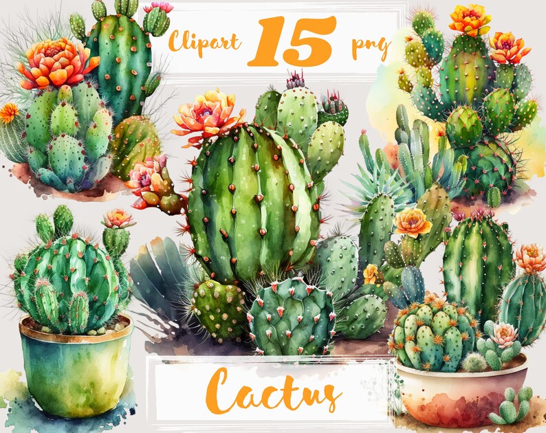 Cactus Clip Art Succulent Clipart Floral Clip Art Png. - Etsy