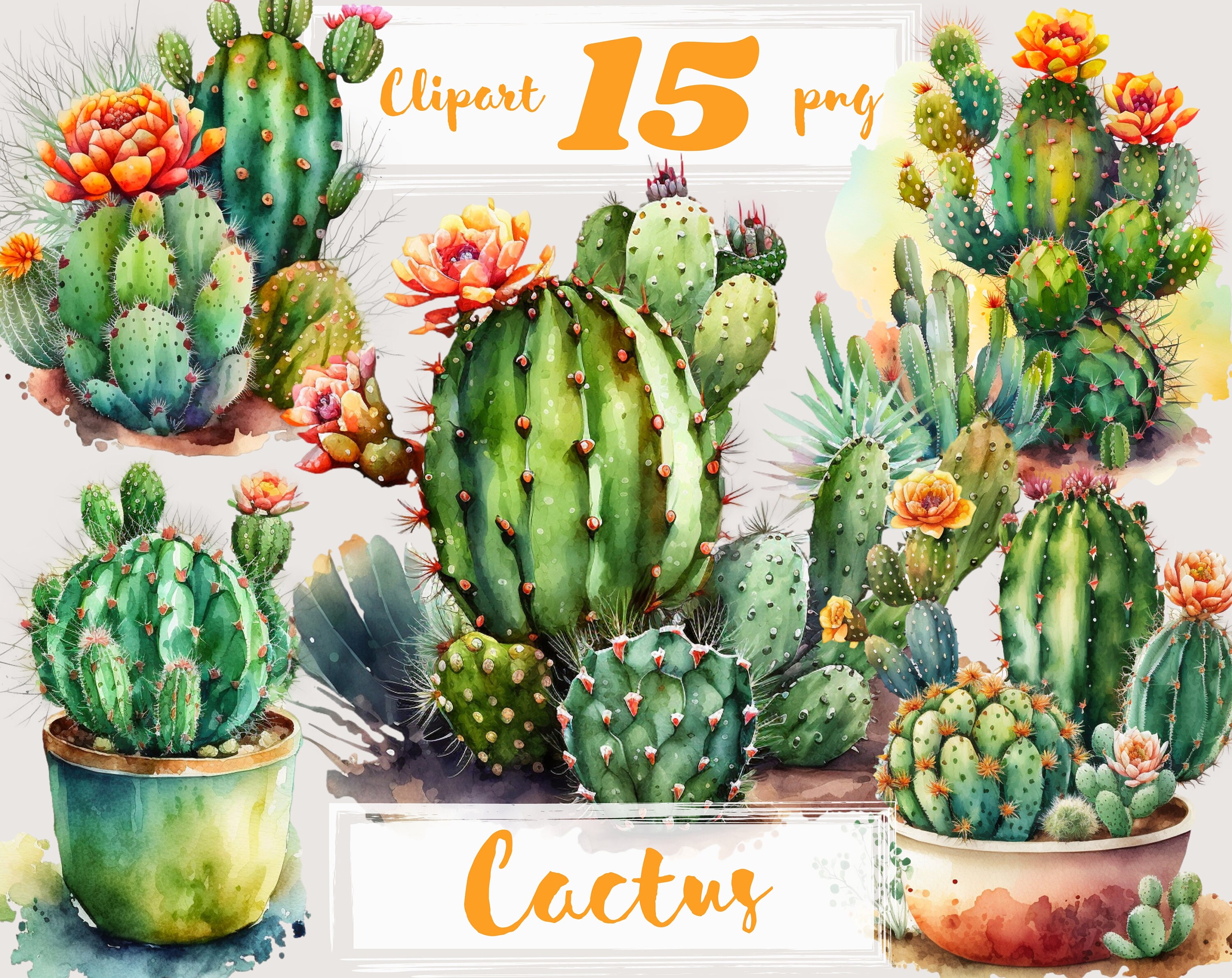 Cactus Clip Art Succulent Clipart Floral Clip Art Png. - Etsy