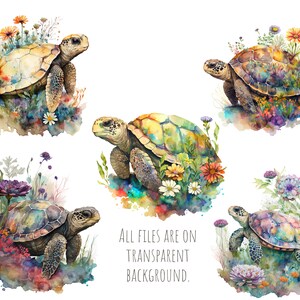 Turtle Clipart, Nautical Clipart. Ocean Animal. Sea Animals Clip Art ...