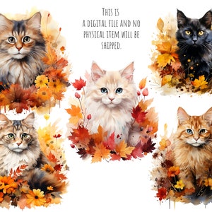 Cat Clipart, Autumn Clipart, Watercolor Clipart, Png Bundle. Digital ...