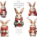 Christmas Bunny Clipart. Rabbit Clipart. Winter Clipart, Kid, Children ...