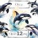 Orca Clipart, Nautical Clipart. Ocean Animal. Sea Animals Clip Art, Png ...