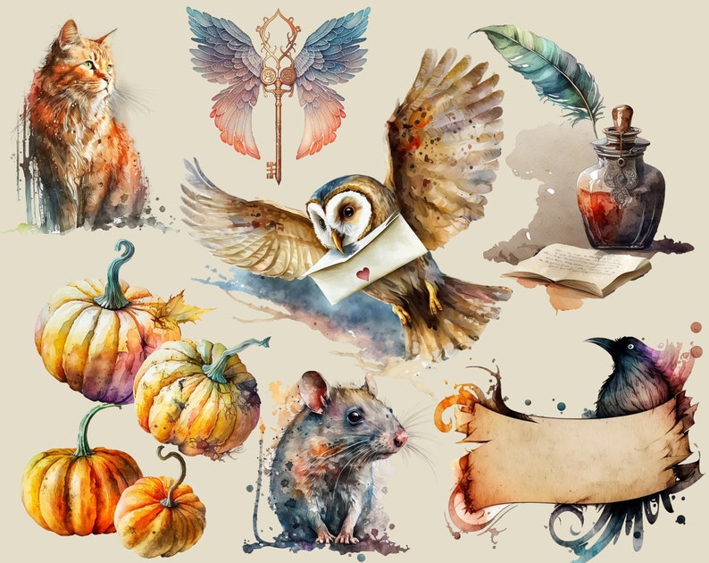 Magic School Bundle. Halloween Clipart Witch and Wizard Png. - Etsy