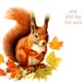 Squirrel Clipart, Autumn Clipart, Watercolor Clipart, Png Bundle ...