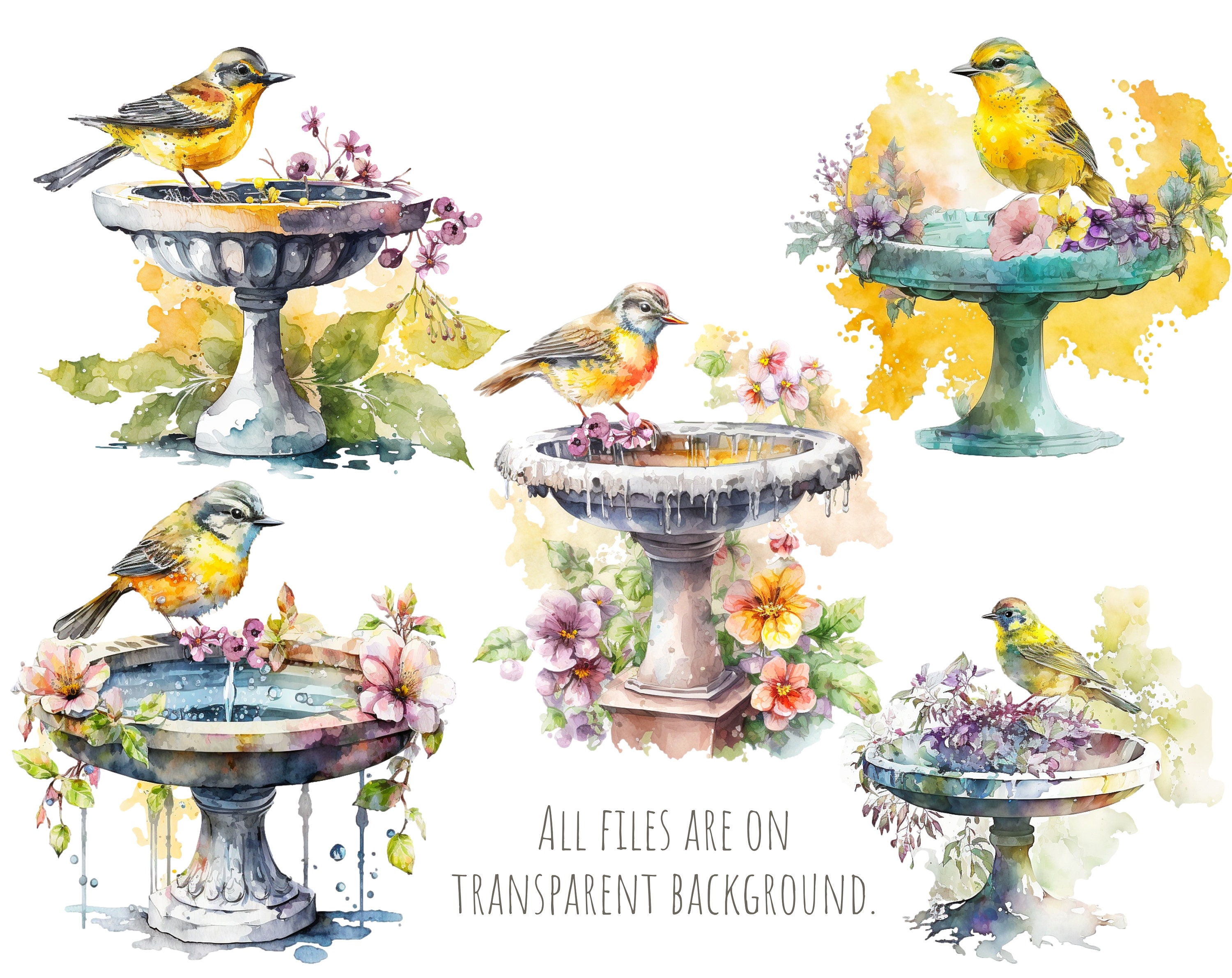 Spring Bird Clipart Floral Clip Art Birdbaths Clipart Png. - Etsy