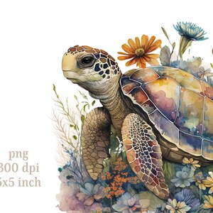 Turtle Clipart, Nautical Clipart. Ocean Animal. Sea Animals Clip Art ...