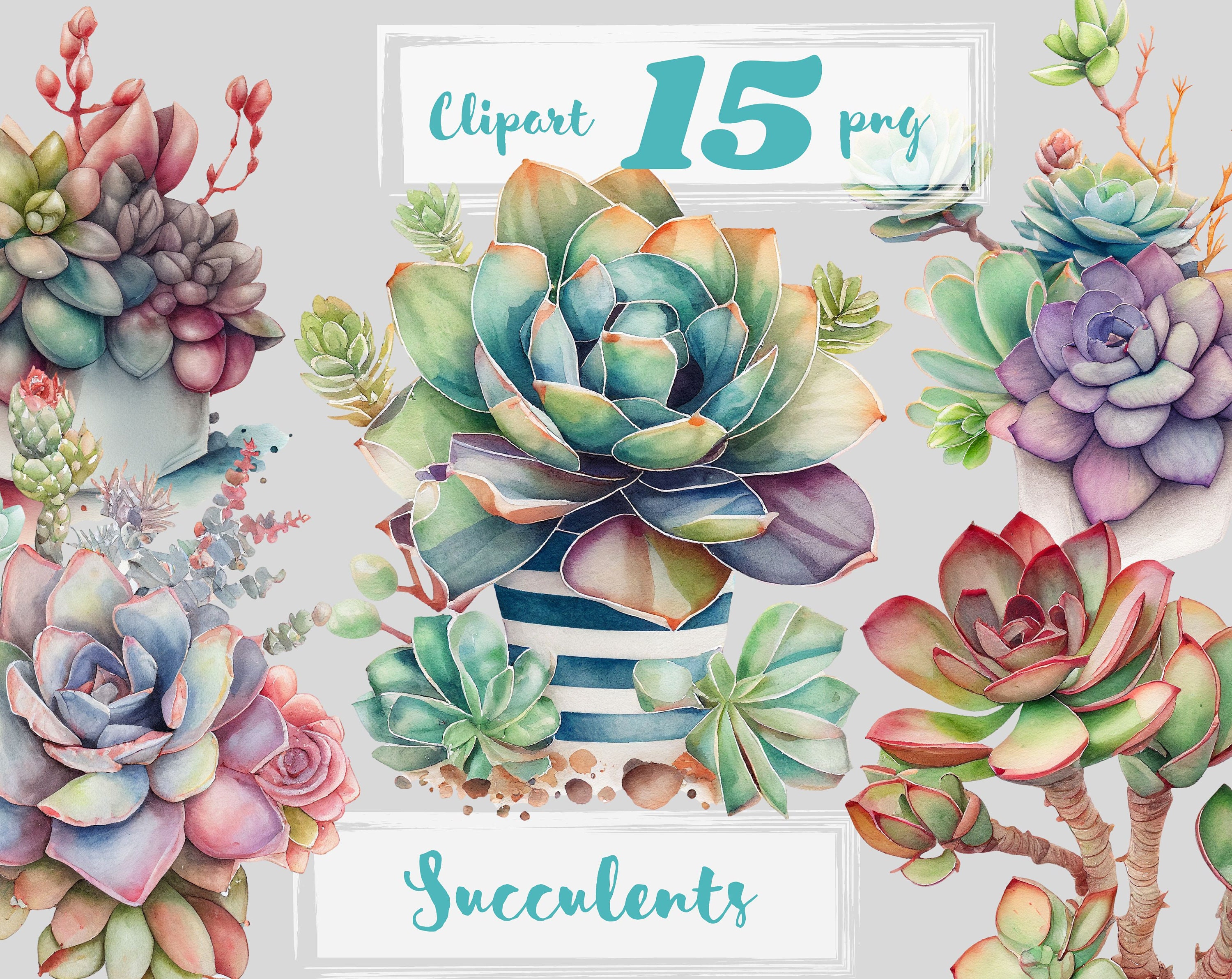 Succulent Clipart Floral Clip Art Png. Digital Watercolor. - Etsy Australia