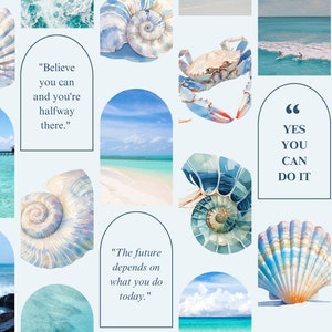 Sea Shell Clipart, Nautical Bundle. Ocean Clipart. Sea Clipart, Png ...