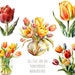 Tulip Clipart. Spring Clipart. Floral Clipart, Field, Garden, Blooming ...