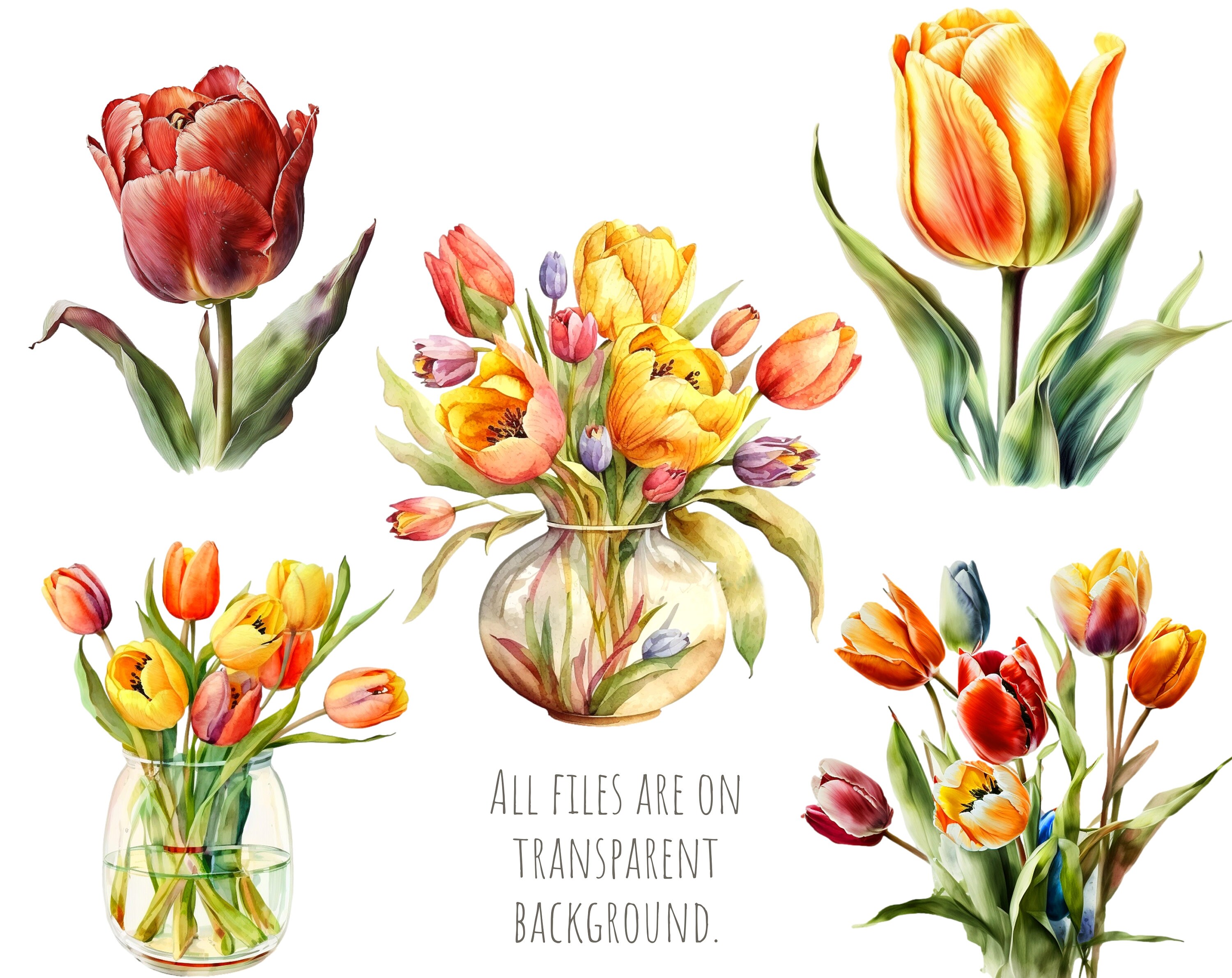 Tulip Clipart. Spring Clipart. Floral Clipart, Field, Garden, Blooming ...