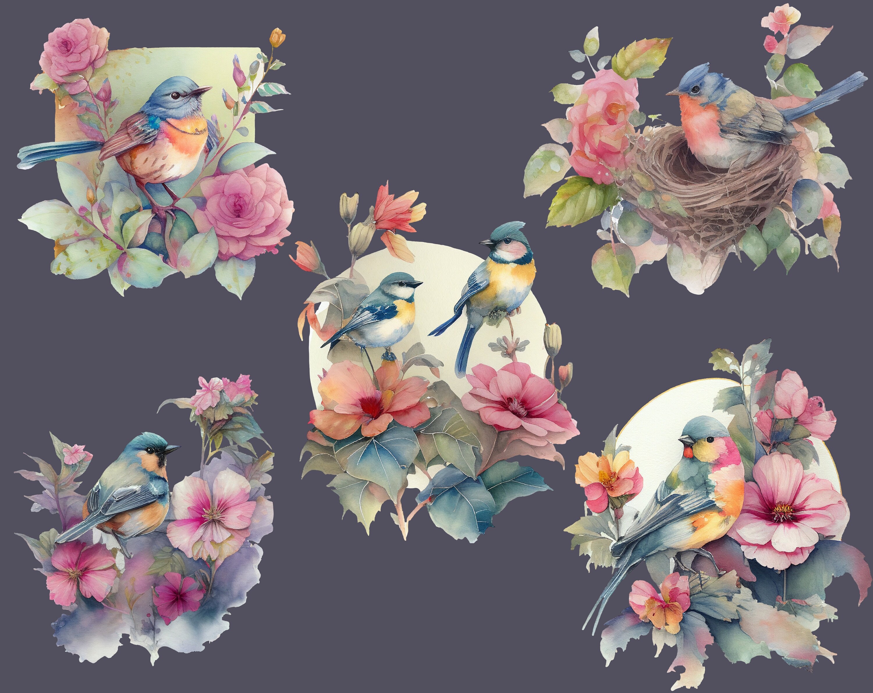 Spring Bird Clipart Floral Clip Art Png. Digital Watercolor. - Etsy ...