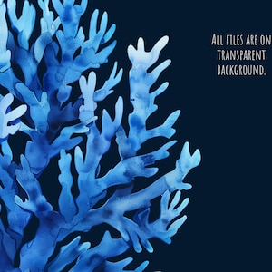 Blue Sea Clipart, Nautical Clipart. Ocean Clipart. Sea Clip Art, Png ...