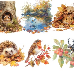 Autumn Forest Clipart, Fall Clipart, Forest Animals, Wood, Trees, Dear ...
