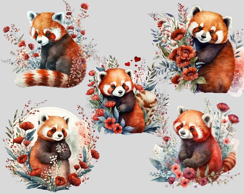 Watercolor Red Pandas Clipart Red Panda Png Animal in - Etsy