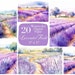 Lavender Field Digital Paper, Wild Flowers. Watercolor Scrapbook Paper ...