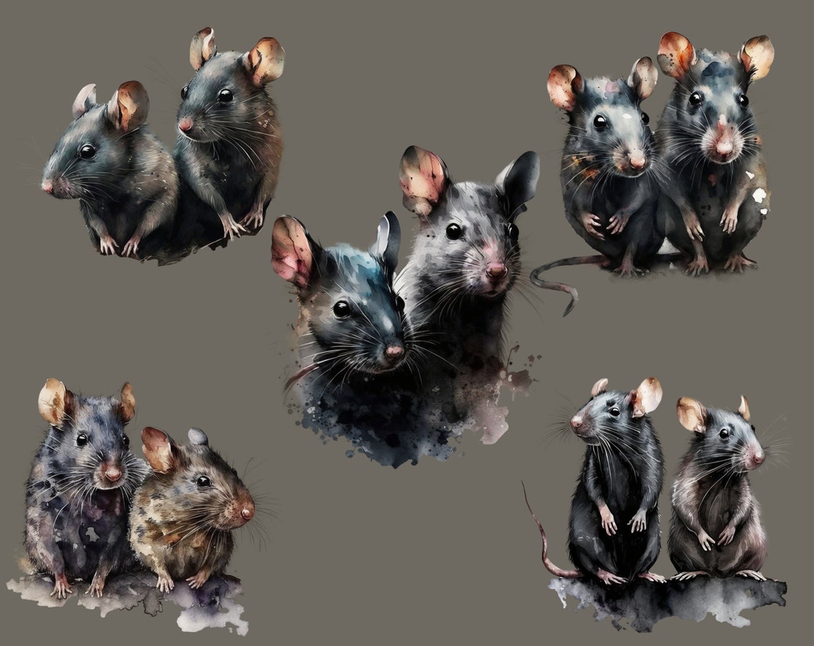 Rat Clipart. Mouse Clipart. Pet Clipart. Animal Clipart. Cute - Etsy