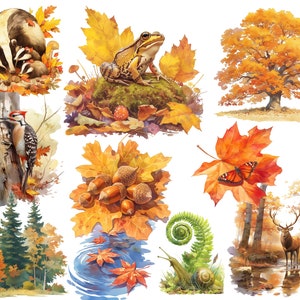 Autumn Forest Clipart, Fall Clipart, Forest Animals, Wood, Trees, Dear ...
