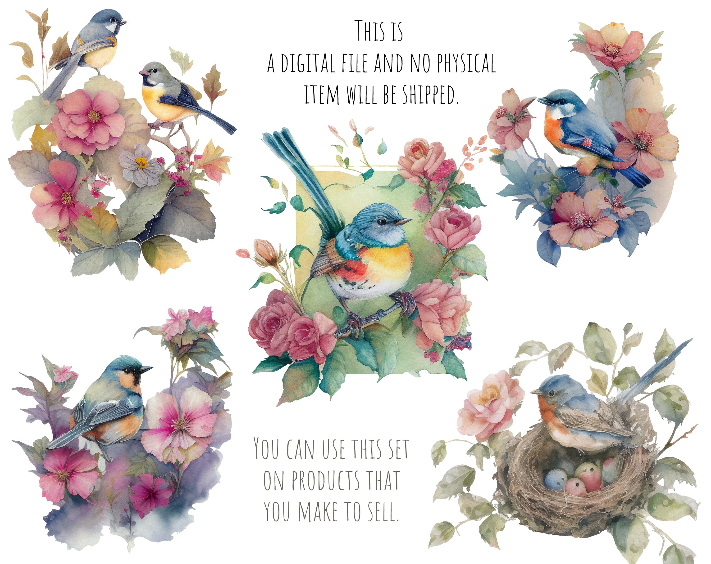Spring Bird Clipart Floral Clip Art Png. Digital Watercolor. - Etsy ...