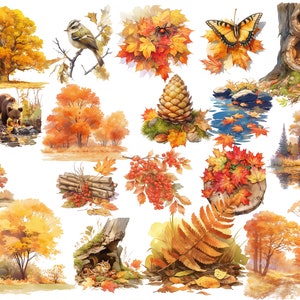 Autumn Forest Clipart, Fall Clipart, Forest Animals, Wood, Trees, Dear ...