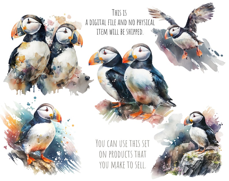 Puffin Bird Clipart. Cute Birds Clip Art, Png. Digital Watercolor. Free ...