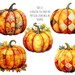 Orange Pumpkin Clipart, Garden, Fall Clipart, Autumn, Png. Digital ...