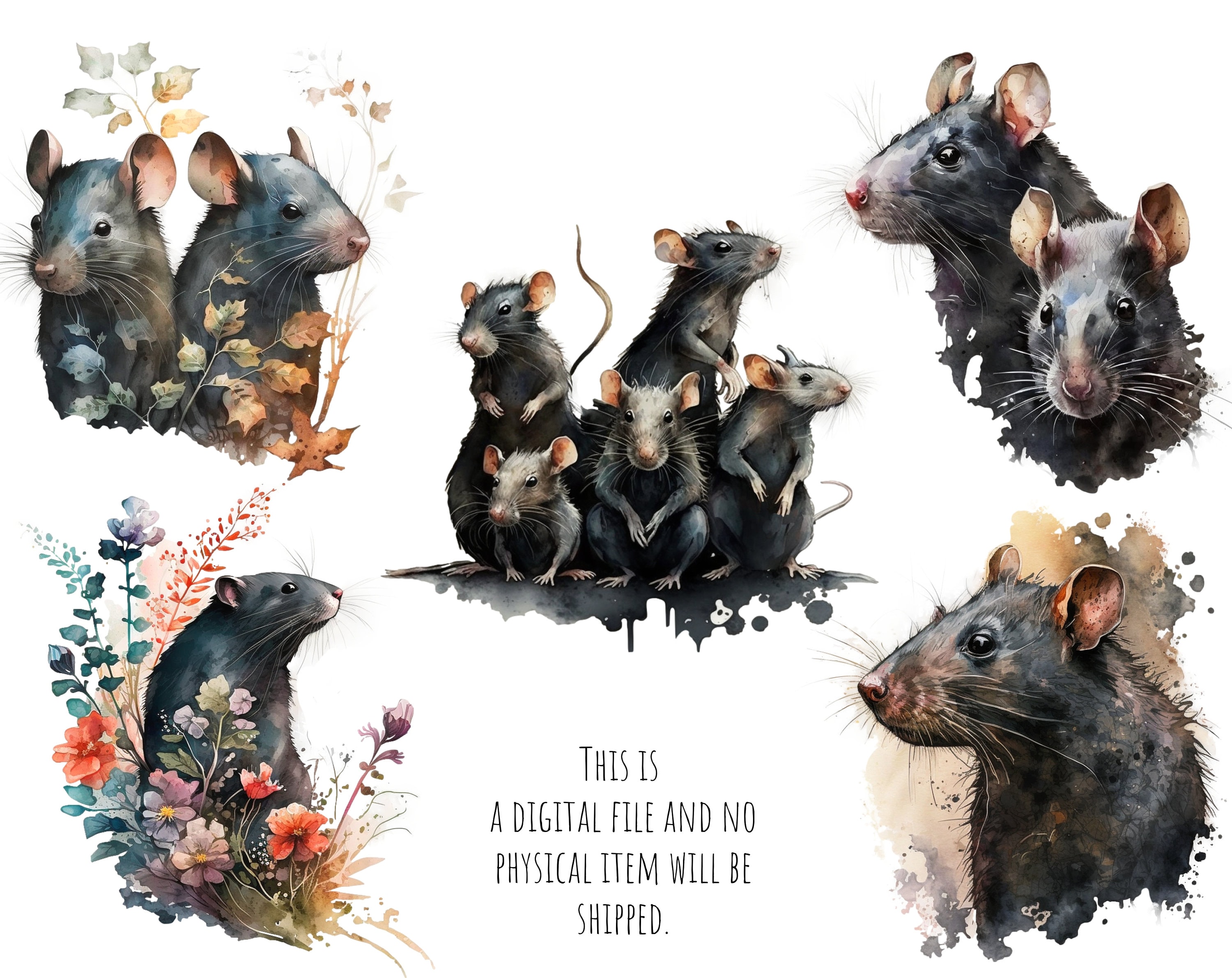 Rat Clipart. Mouse Clipart. Pet Clipart. Animal Clipart. Cute - Etsy