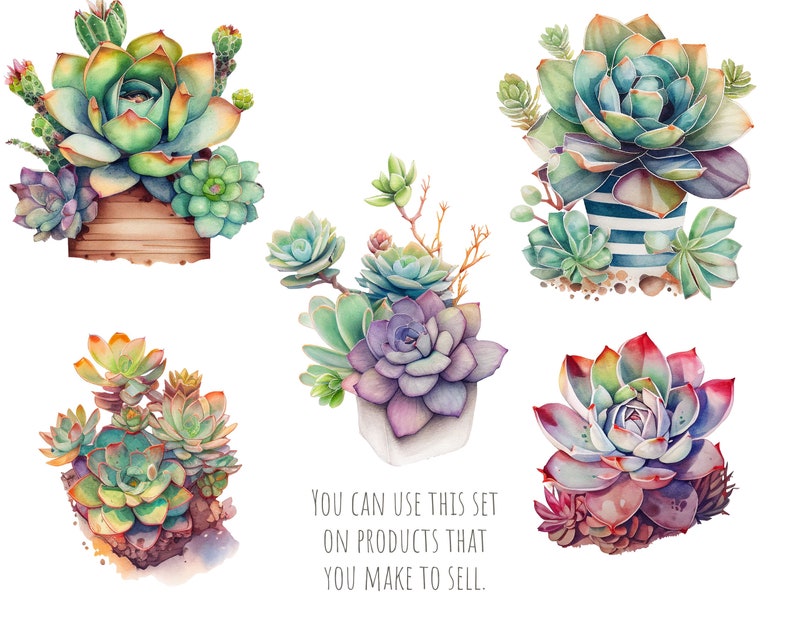 Watercolor Succulent Clipart Set, Commercial Use (digital Download) - Etsy