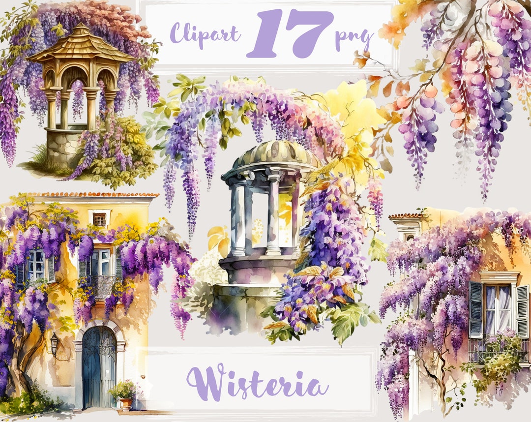 Wisteria Clipart. Spring Clipart. Floral Clipart, Garden Clipart ...