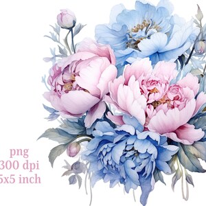 Pink & Blue Peonies Watercolor Clipart, Summer Flowers Clipart, Peonies ...