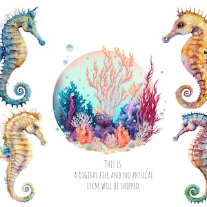 Seahorse Clipart, Nautical Clipart. Ocean Animal. Sea Animals Clip Art ...