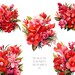 Red Tropical Flowers PNG Watercolor Floral Clipart Bouquets - Etsy