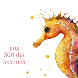 Seahorse Clipart, Nautical Clipart. Ocean Animal. Sea Animals Clip Art ...