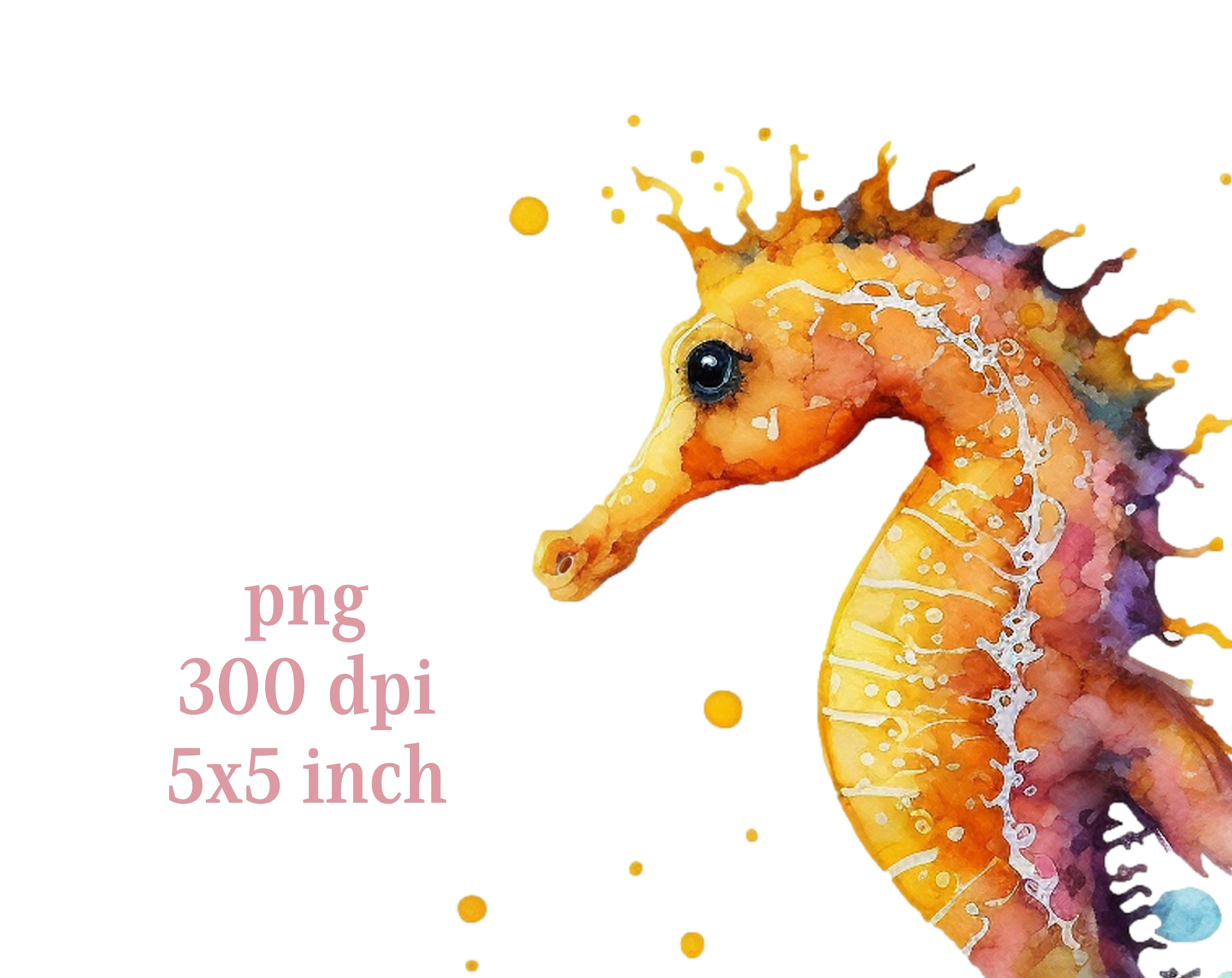 Seahorse Clipart, Nautical Clipart. Ocean Animal. Sea Animals Clip Art ...