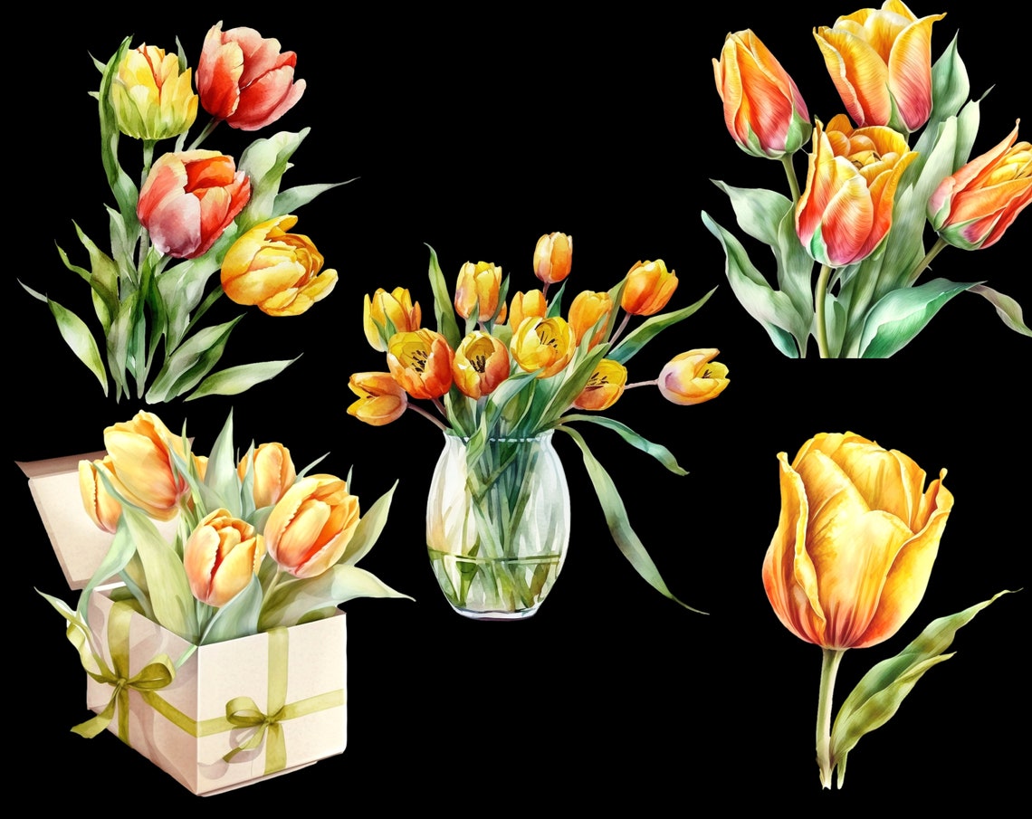 Tulip Clipart. Spring Clipart. Floral Clipart, Field, Garden, Blooming ...