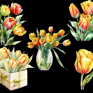 Tulip Clipart. Spring Clipart. Floral Clipart, Field, Garden, Blooming ...