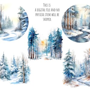 Winter Forest Clipart, Wood Clip Art, Png. Digital Watercolor. Free ...