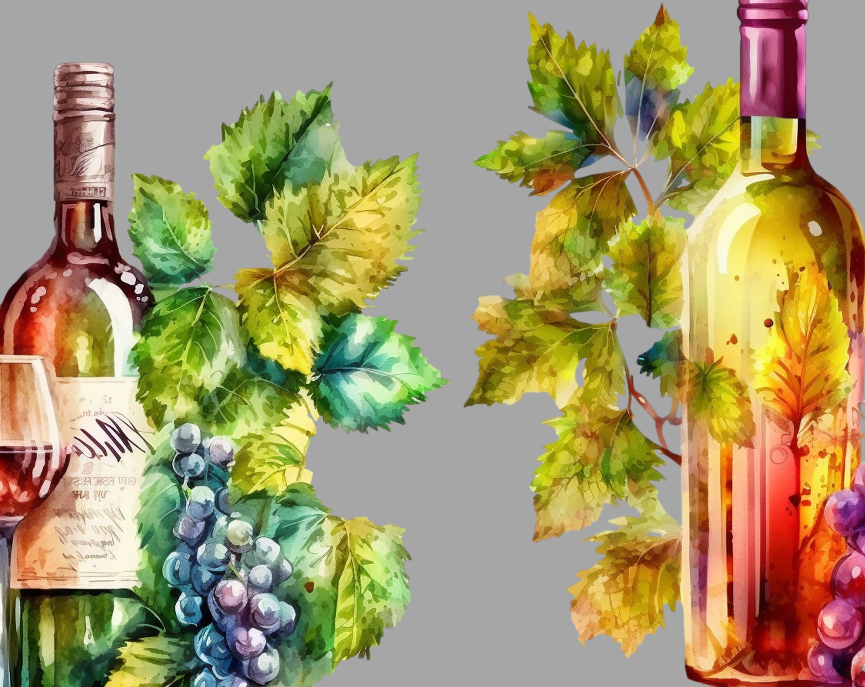 Watercolor Wine Clipart Png Bundle Png. Digital Watercolor. - Etsy