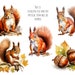 Squirrel Clipart, Autumn Clipart, Watercolor Clipart, Png Bundle ...