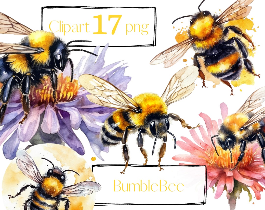 Bumblebee Clipart. Bee Clipart. Floral Clipart, Field Clipart, Insect ...