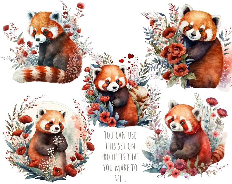 Watercolor Red Pandas Clipart Red Panda Png Animal in - Etsy