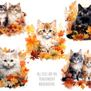 Cat Clipart, Autumn Clipart, Watercolor Clipart, Png Bundle. Digital ...